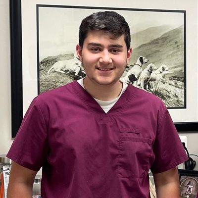 Team - Vet in Rockaway and Denville | Mountain View Veterinary Hospital